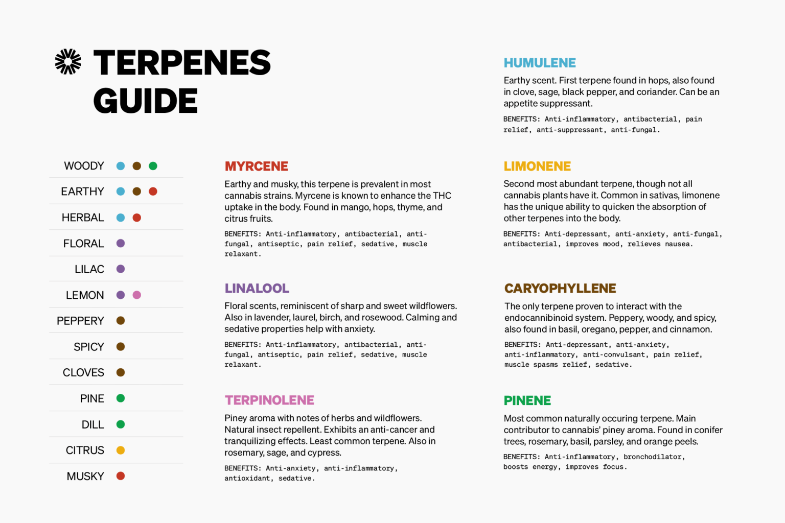 All About Terpenes - Verano