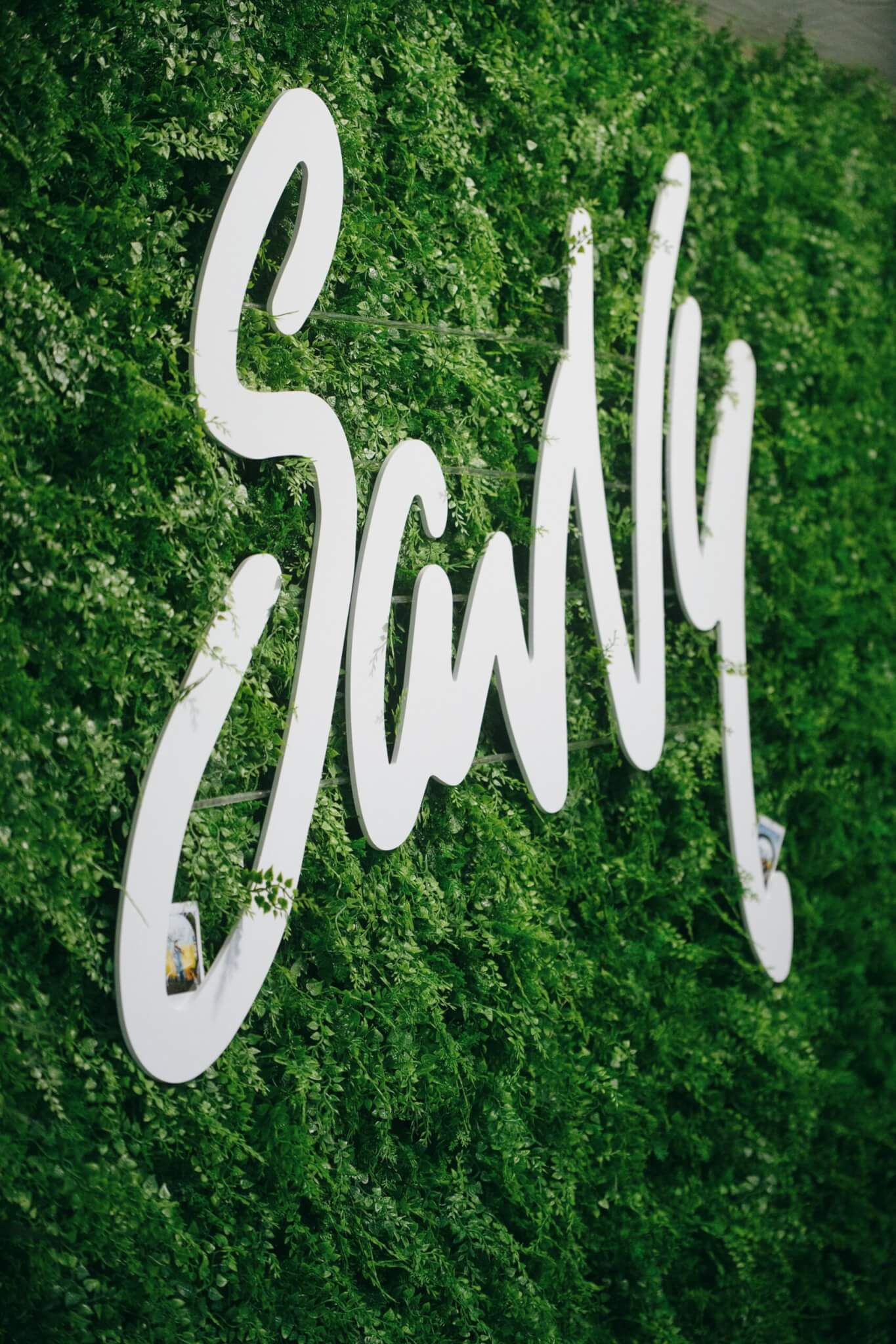 Windy City x Savvy Smokeout | Cannabis Lounge WCS